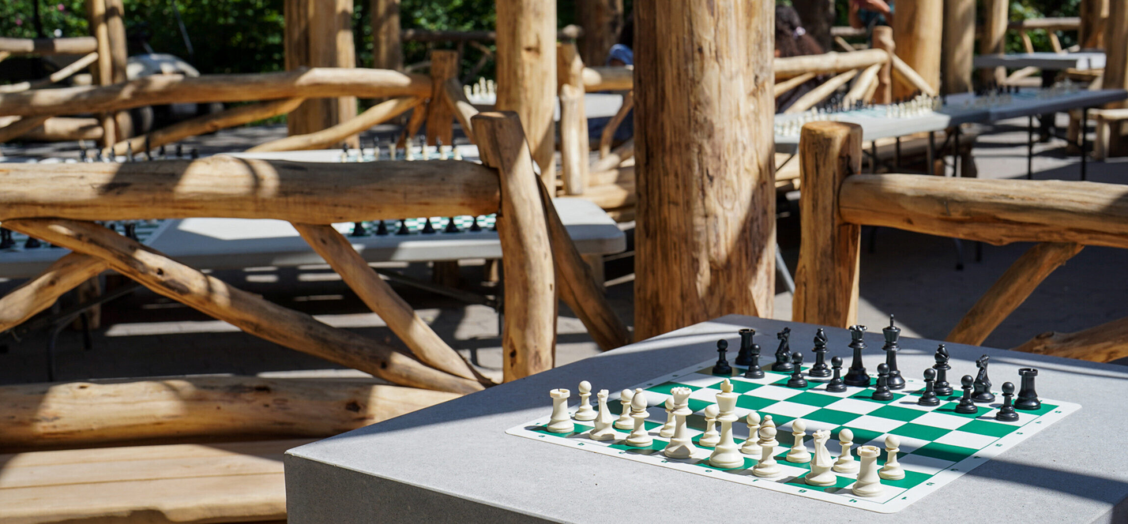 Chess Lecture & Simul Series with… | Central Park Conservancy