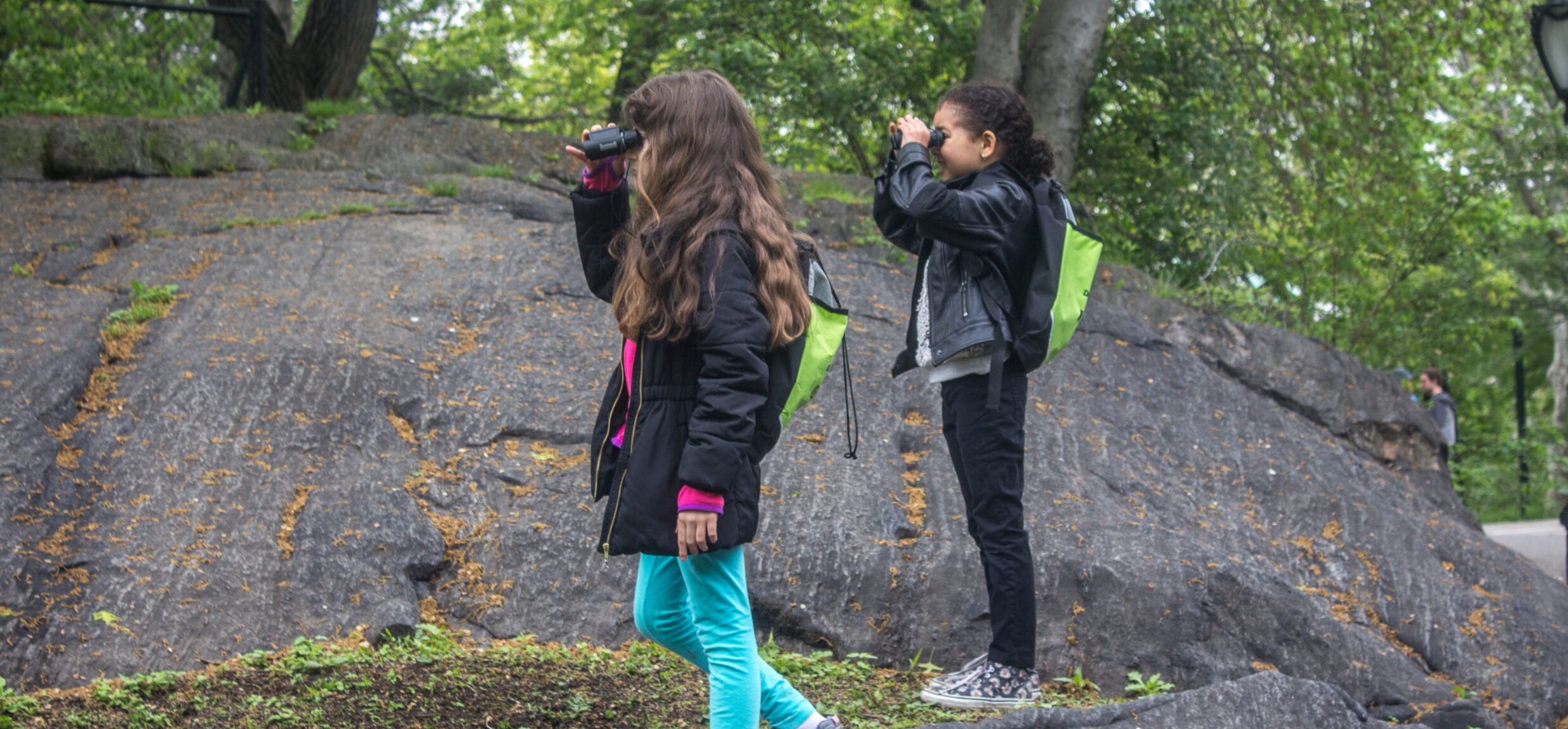 Family Birding Tour | Central Park Conservancy