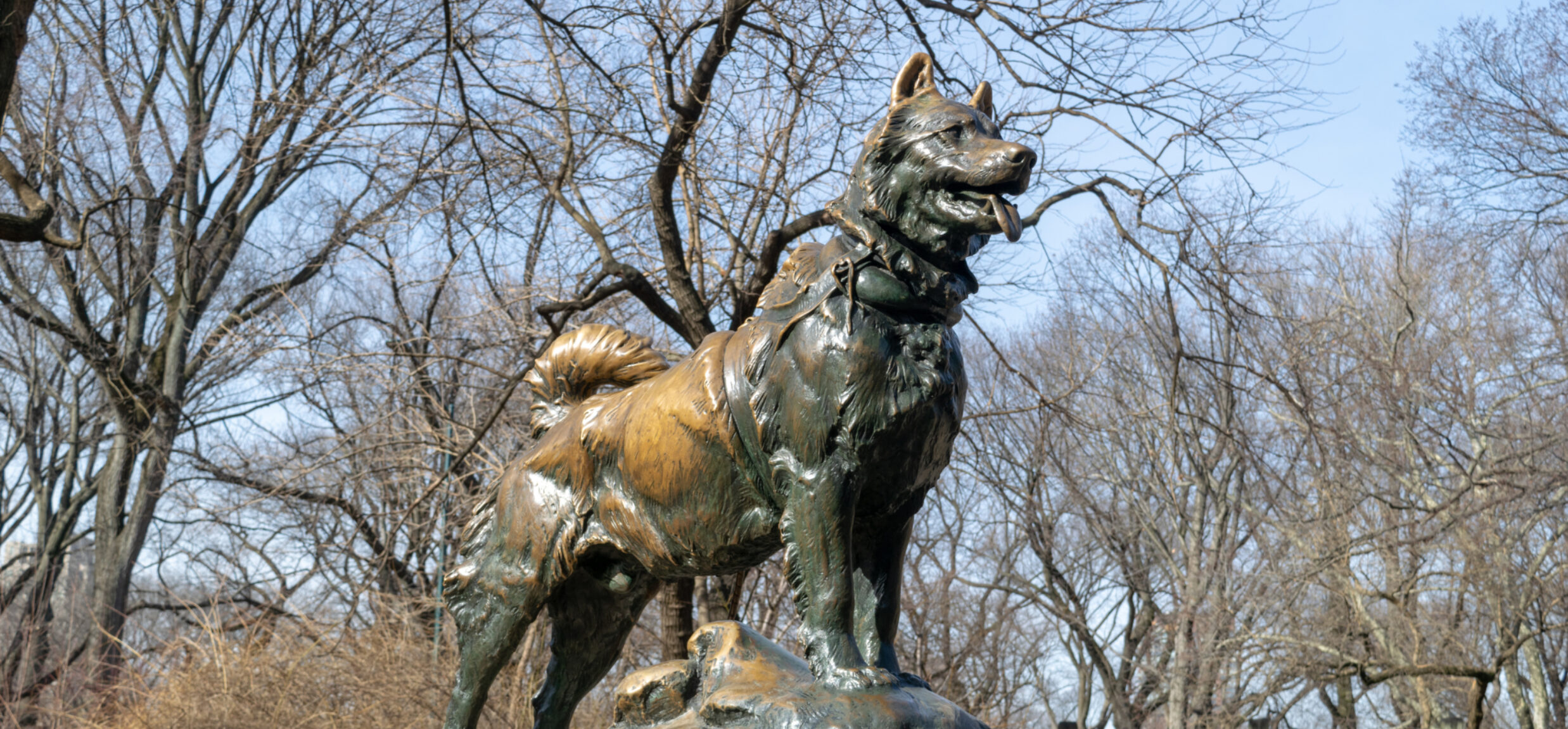 Weekly Walks: Frederick Roth in Central… | Central Park Conservancy