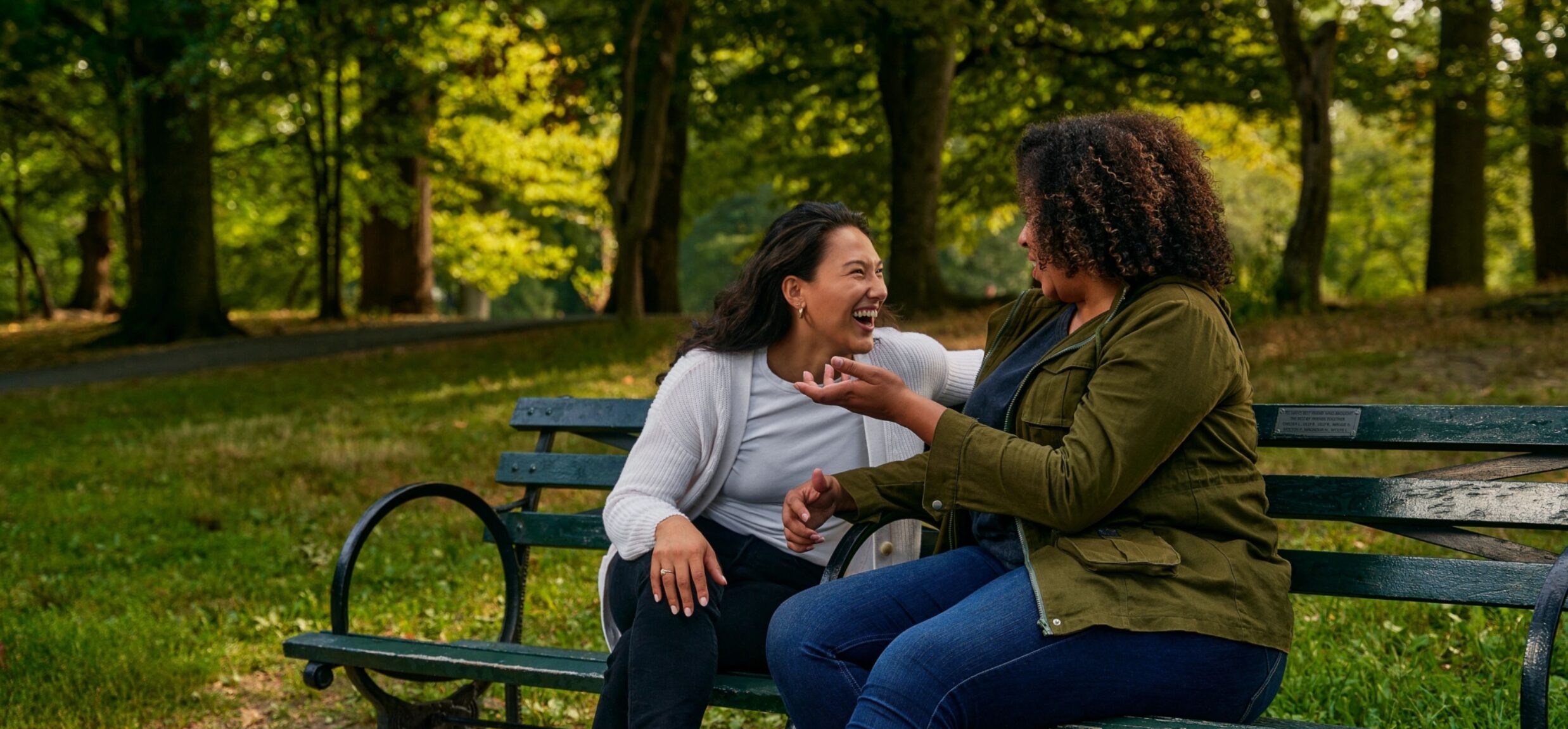 The History, Design, and Care of Central… | Central Park Conservancy