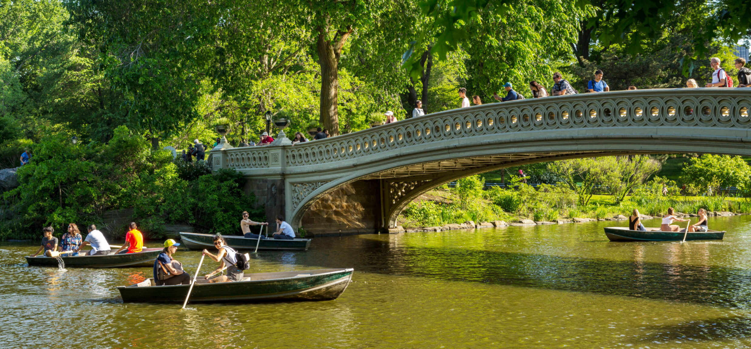 Preserve New York City's Backyard | Central Park Conservancy