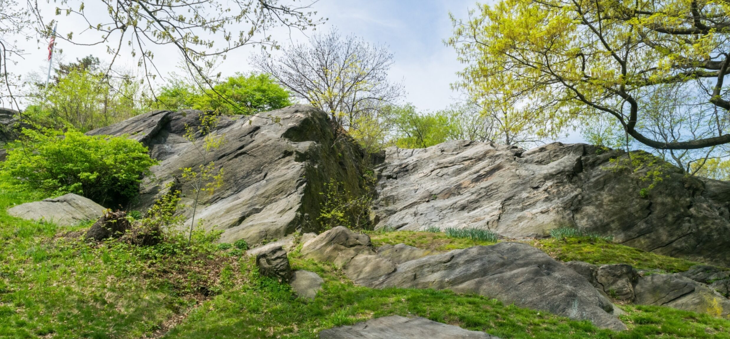 Fort Landscapes Tour | Central Park Conservancy