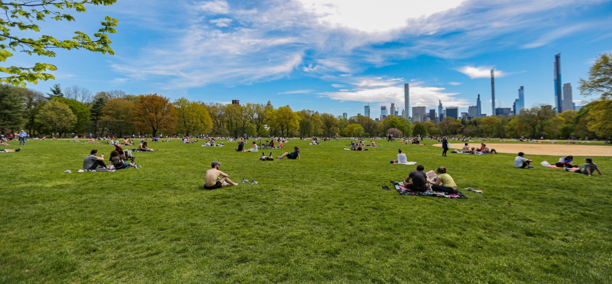 Our New CEO and the Conservancy’s Next Era | Central Park Conservancy