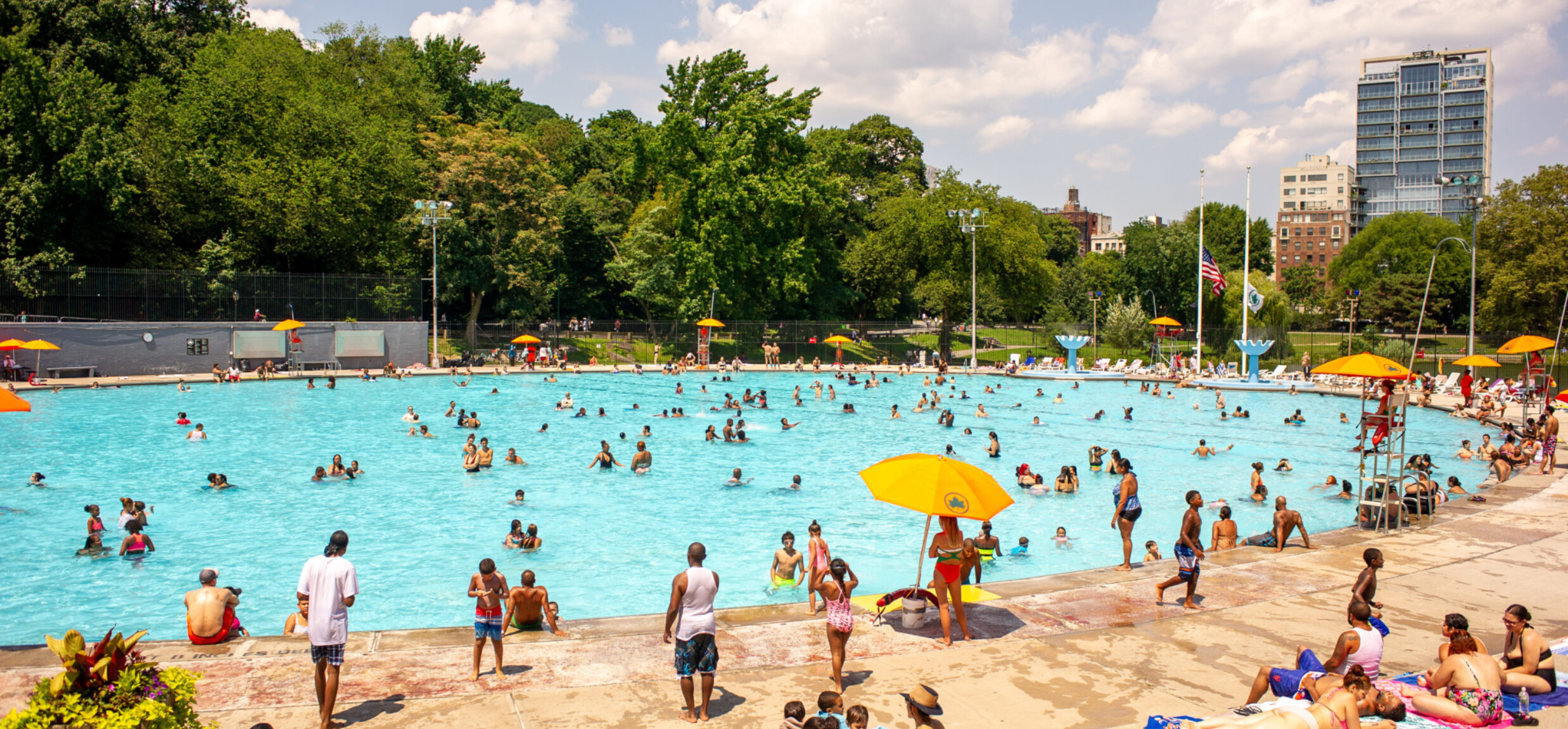 Weekly Walks: Swimming in Central Park | Central Park Conservancy