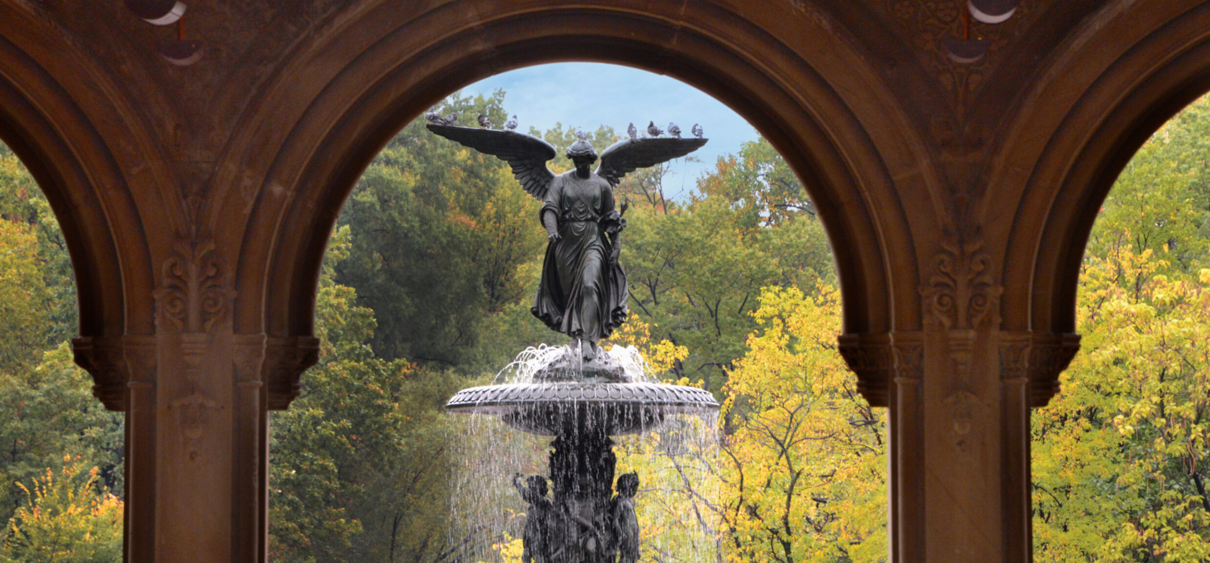 Official Tour: Iconic Views of Central… | Central Park Conservancy