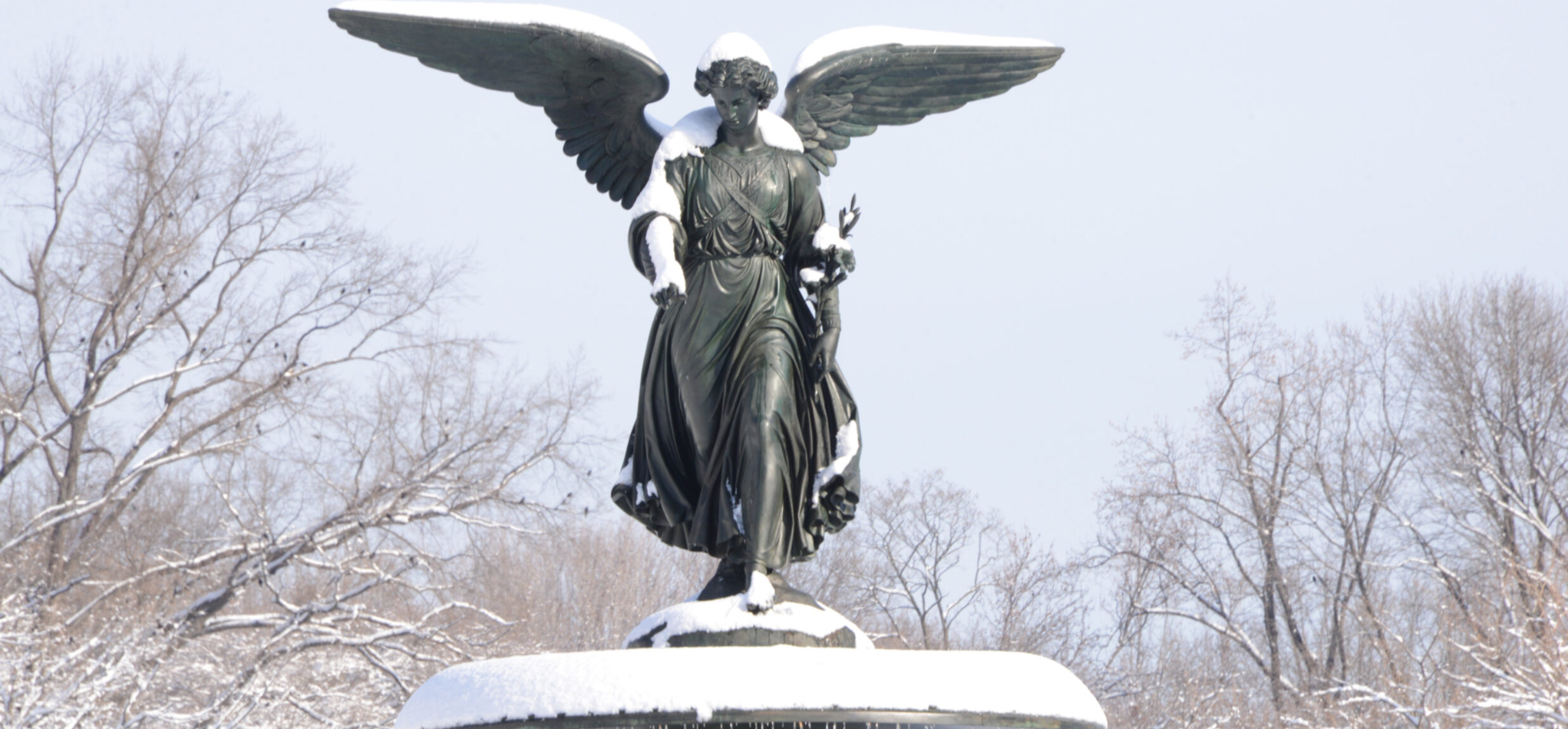 Iconic Views of Central Park Tour | Central Park Conservancy