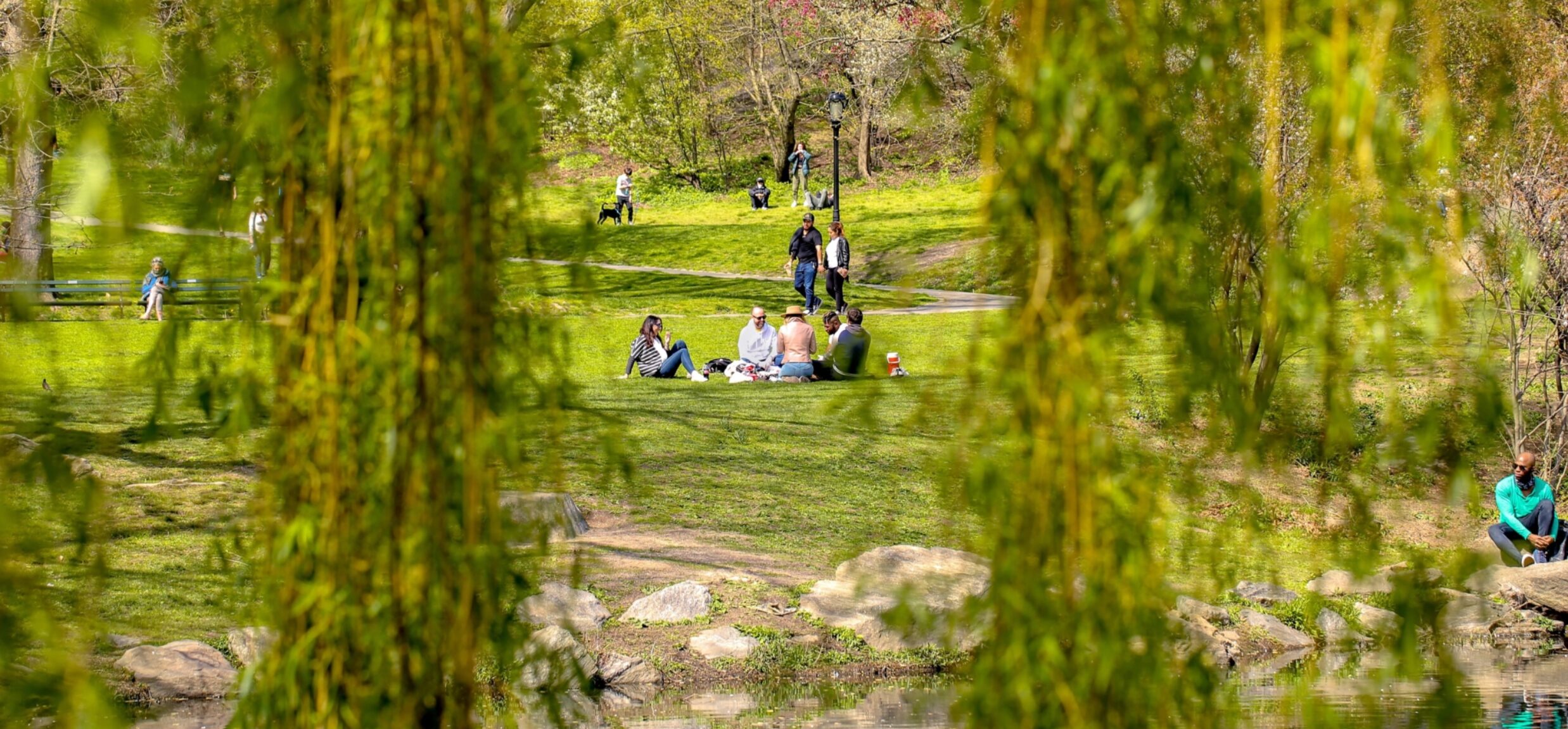 Landscapes of Central Park | Central Park Conservancy
