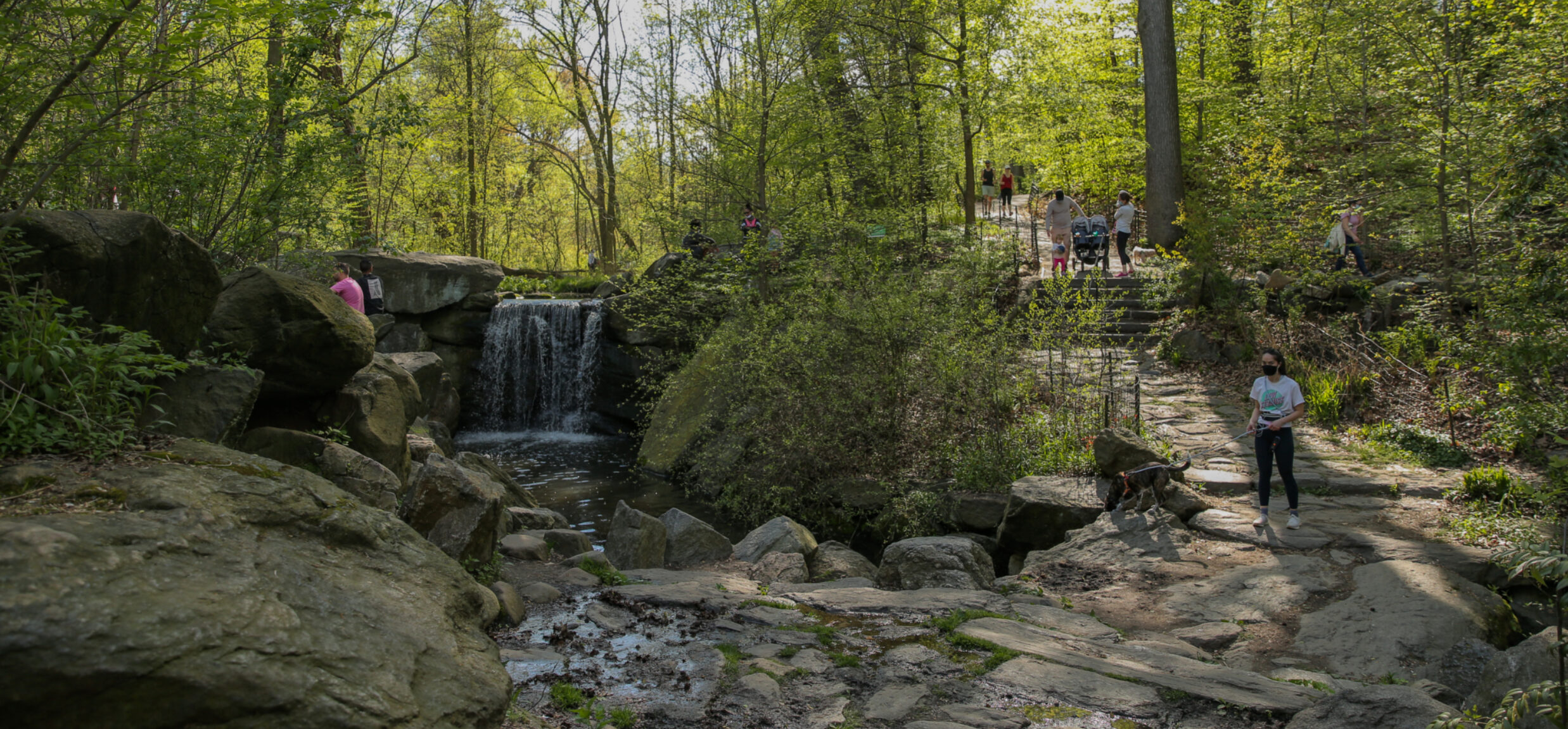 An Insider's Walk Through Central Park | Central Park Conservancy