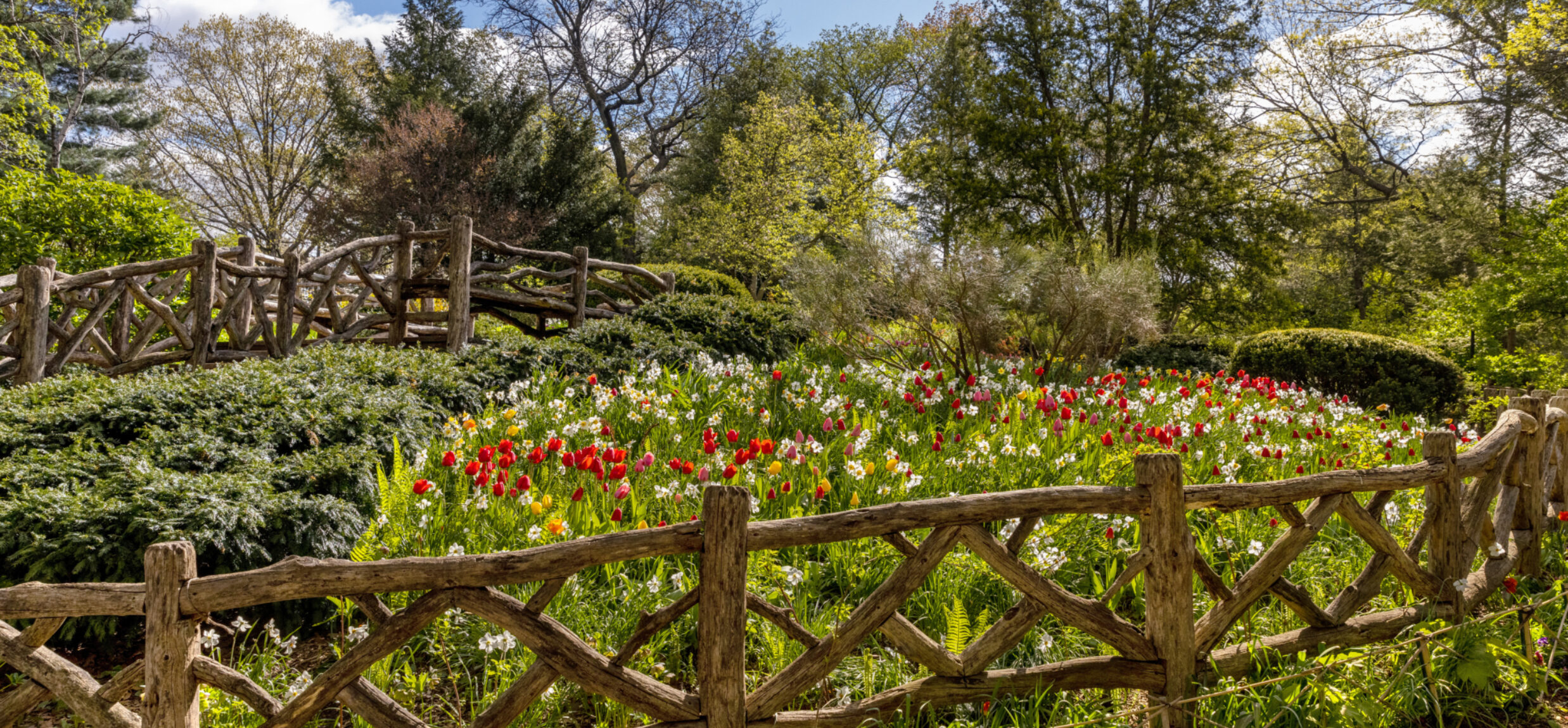 August Secrets of Central Park | Central Park Conservancy