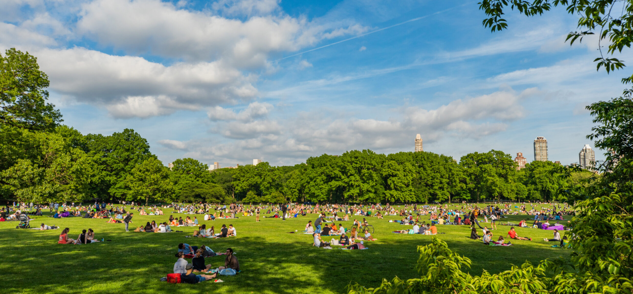 The Park Needs Us | Central Park Conservancy