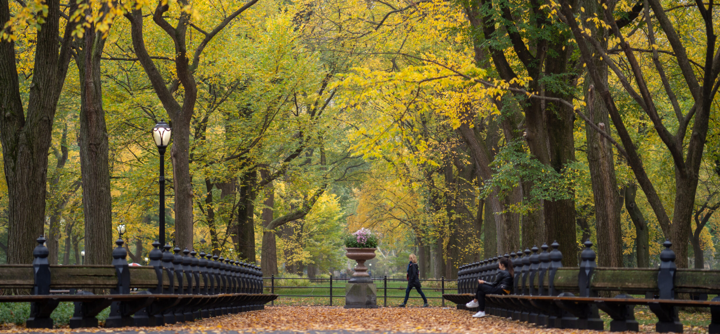 Stroll Down the Mall & Literary Walk in… | Central Park Conservancy