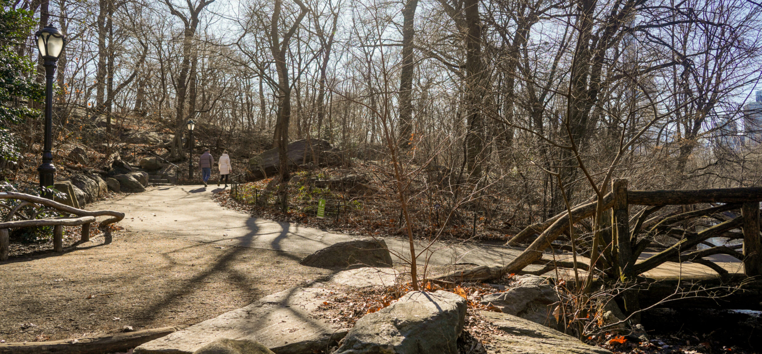 The Ramble Tour | Central Park Conservancy