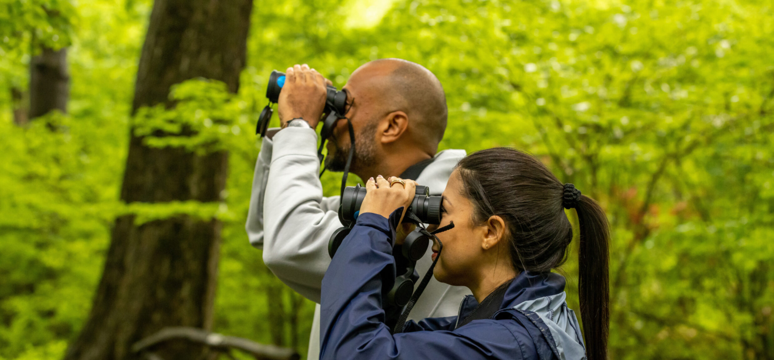 Birding Basics Tour | Central Park Conservancy