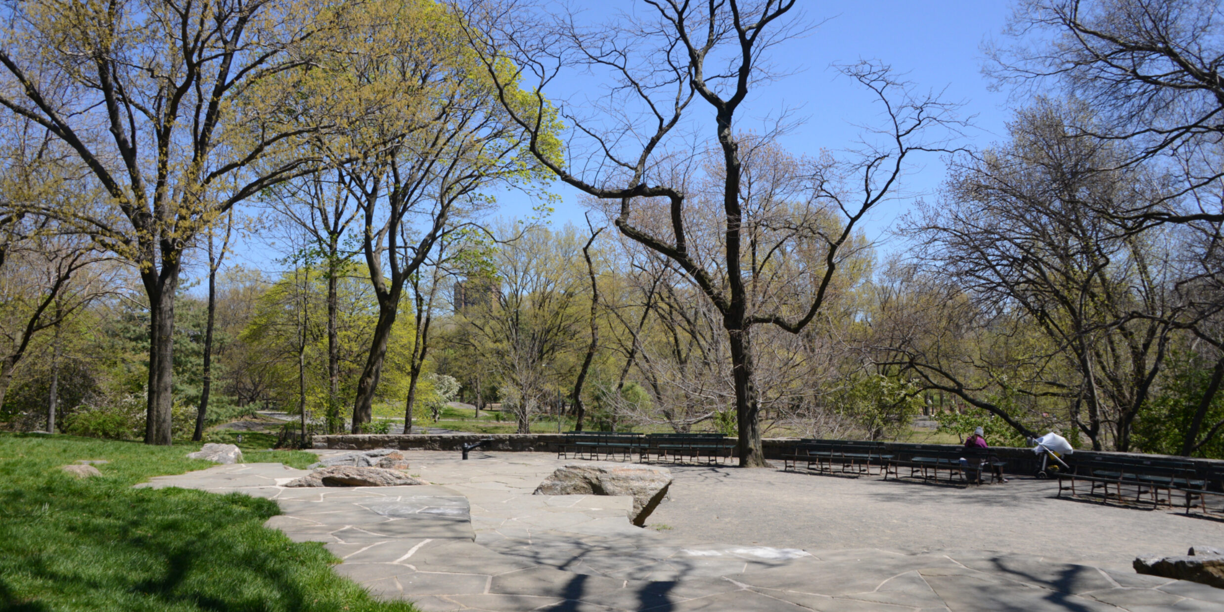 Landscapes of Central Park | Central Park Conservancy