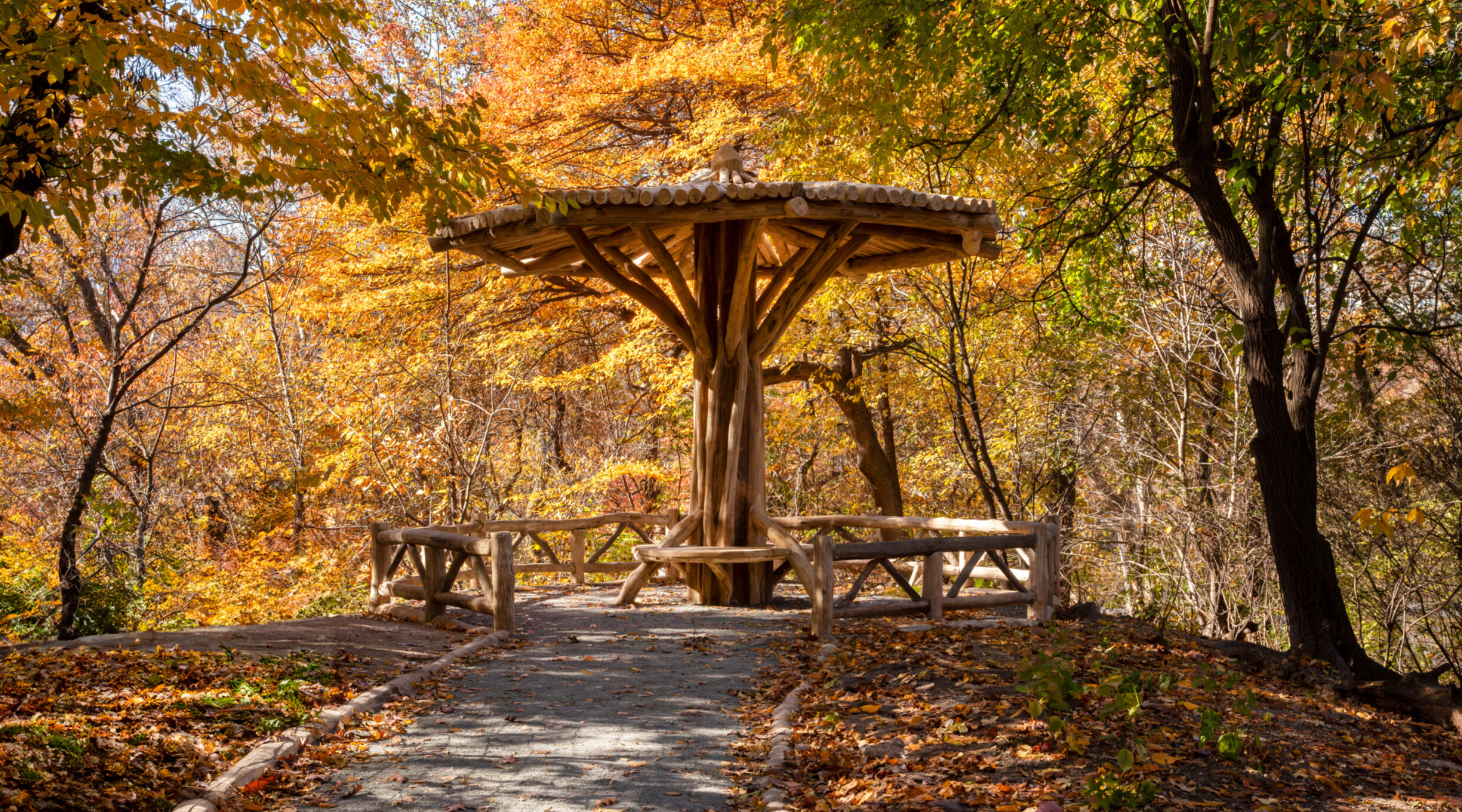 Reconstruction of the Ramble's Rustic… | Central Park Conservancy