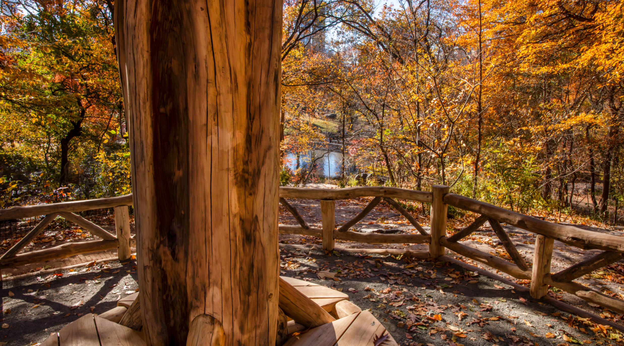Reconstruction of the Ramble's Rustic… | Central Park Conservancy
