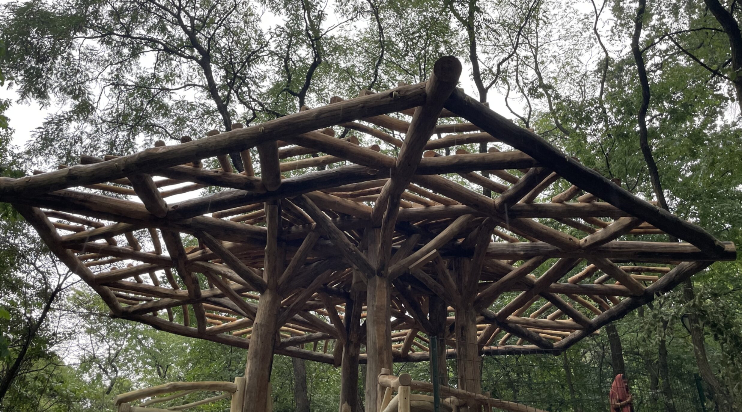 Reconstruction of the Ramble's Rustic… | Central Park Conservancy