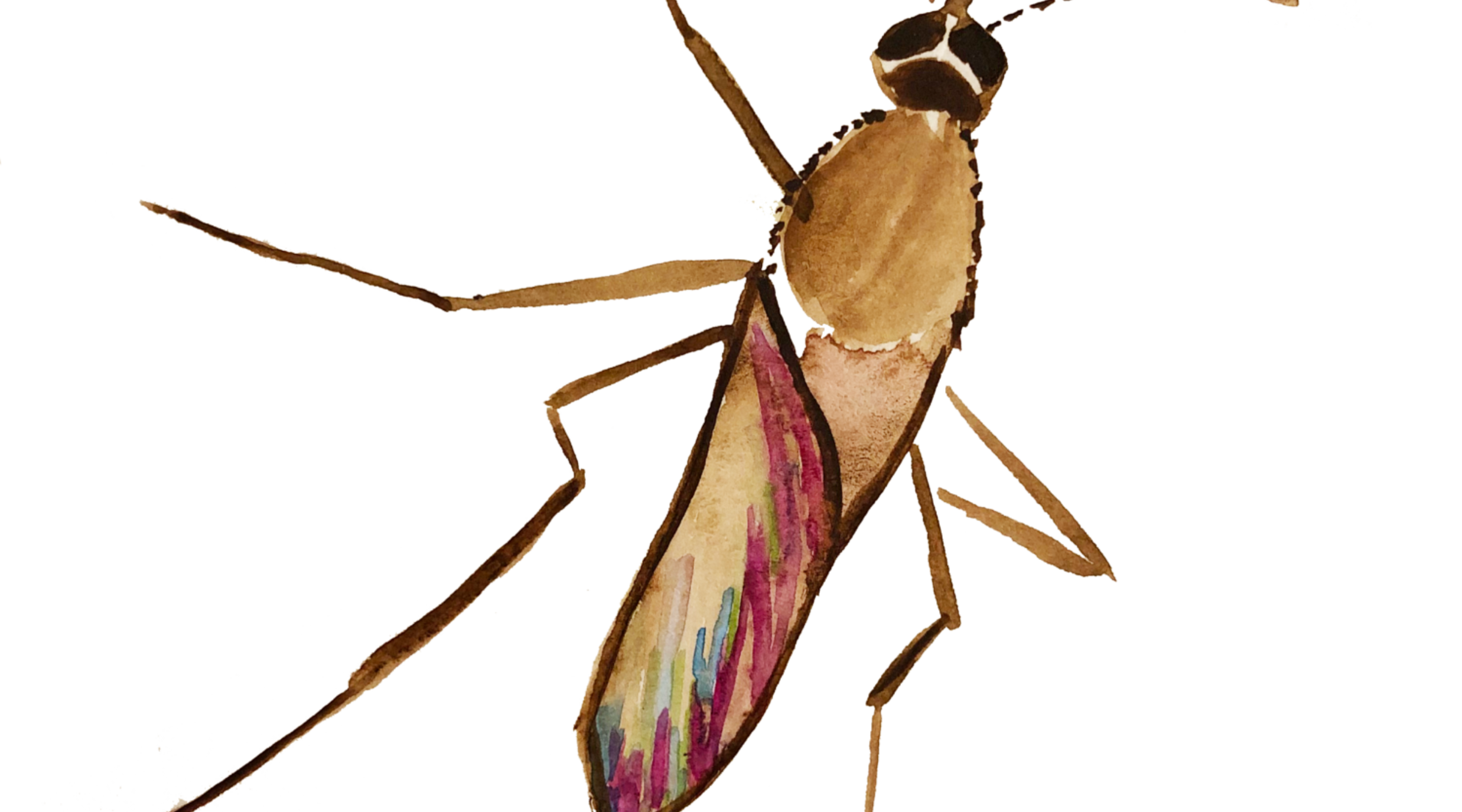 5 Questions with Michelle Mueller Gamez,… | Central Park Conservancy