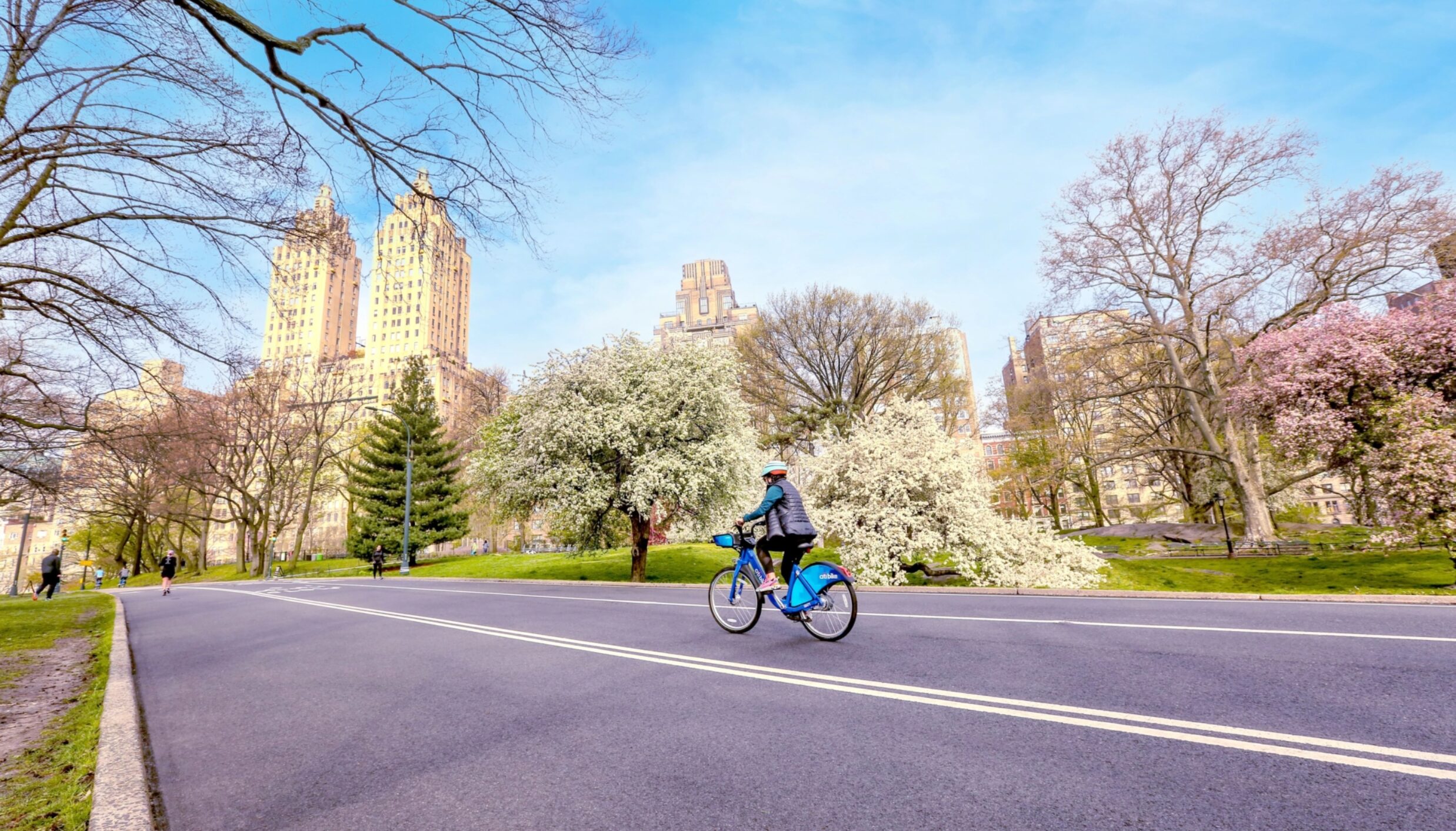 Evolving the Drives to Reflect Our… | Central Park Conservancy
