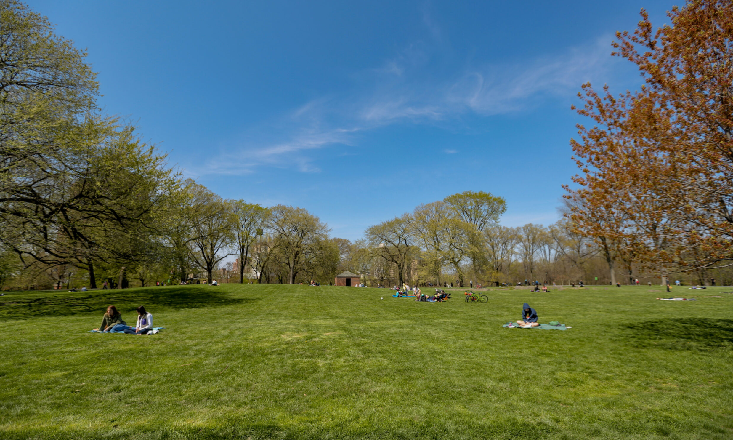 How Does the Park Stay Clean and Green?: A… | Central Park Conservancy