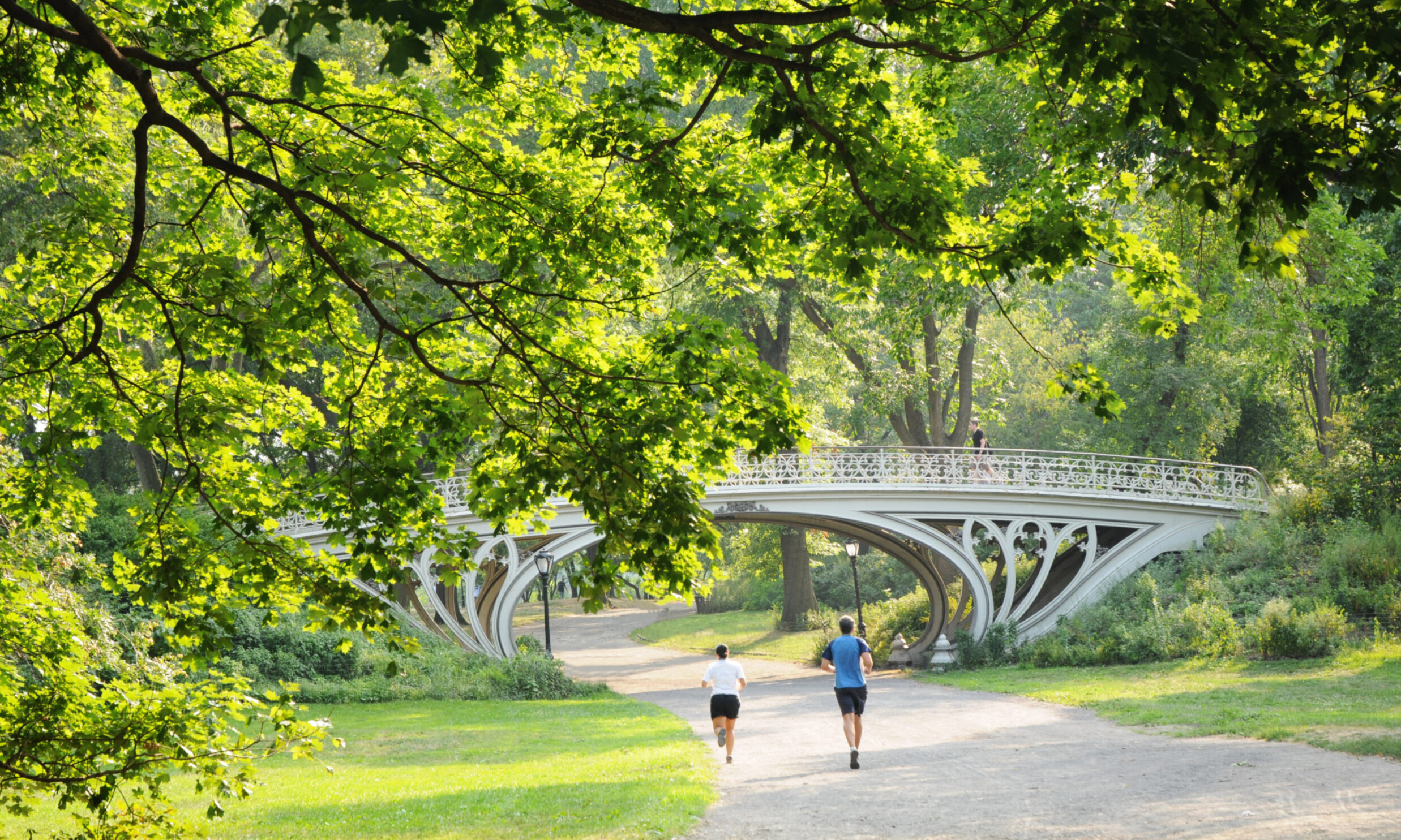 Bridge No. 28 | Central Park Conservancy