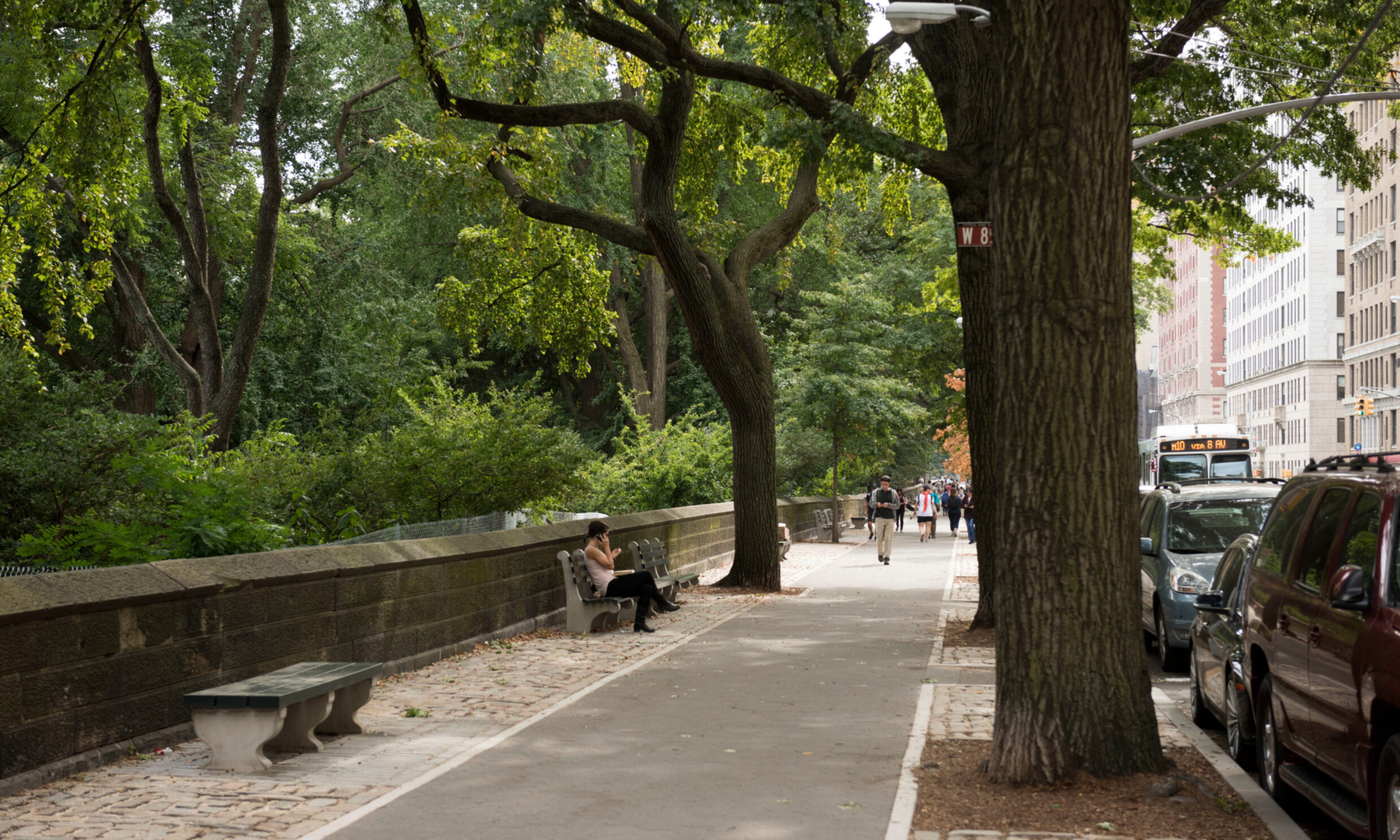 Restoration | Central Park Conservancy