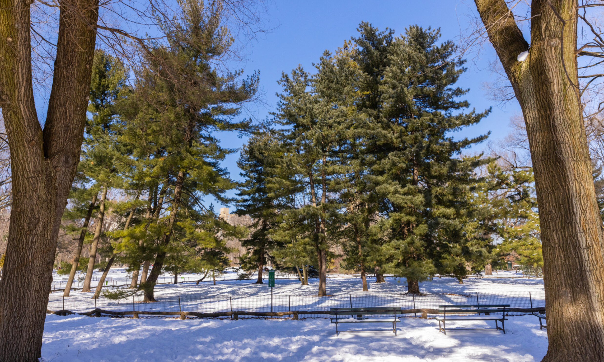 Things to Do | Central Park Conservancy