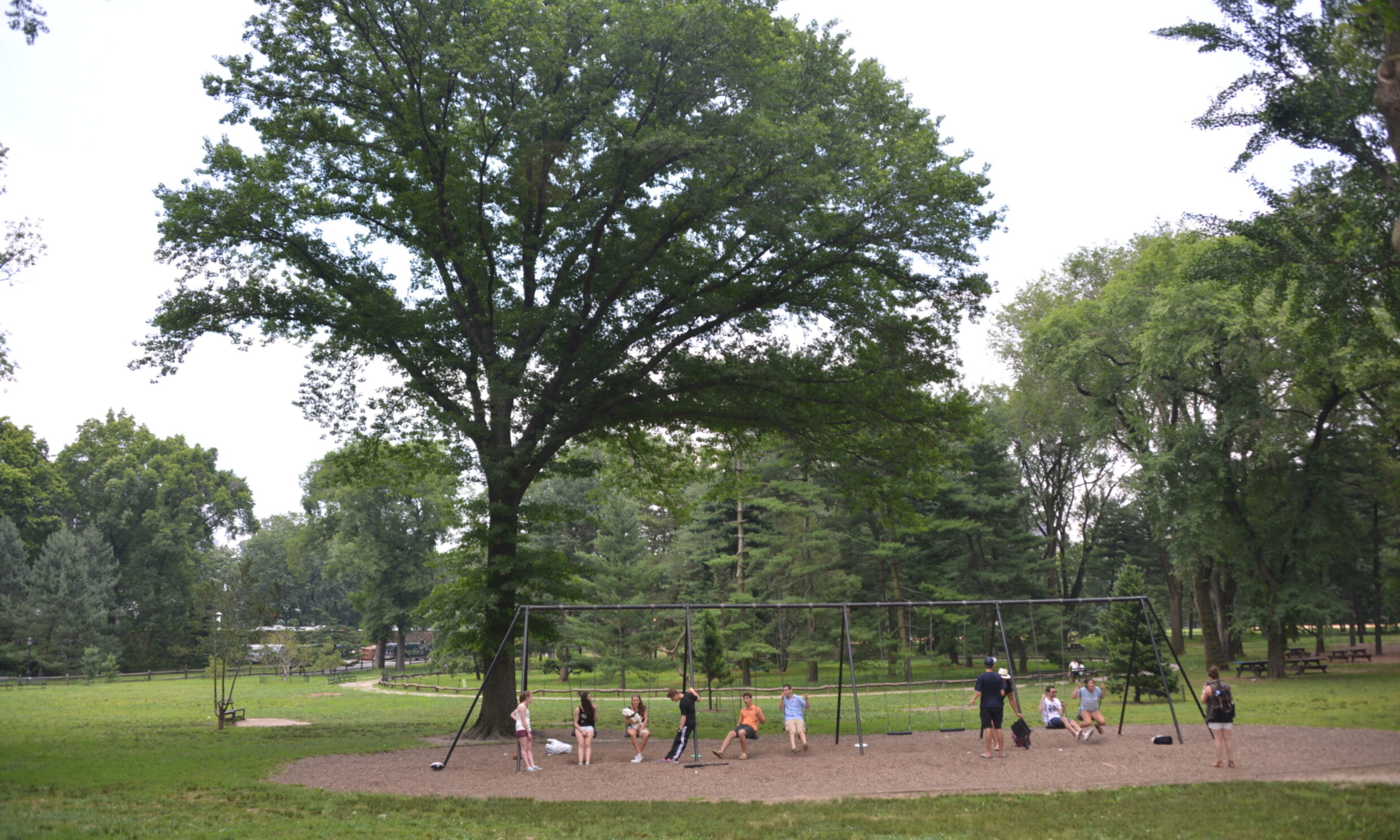 Pinetum Playground | Central Park Conservancy