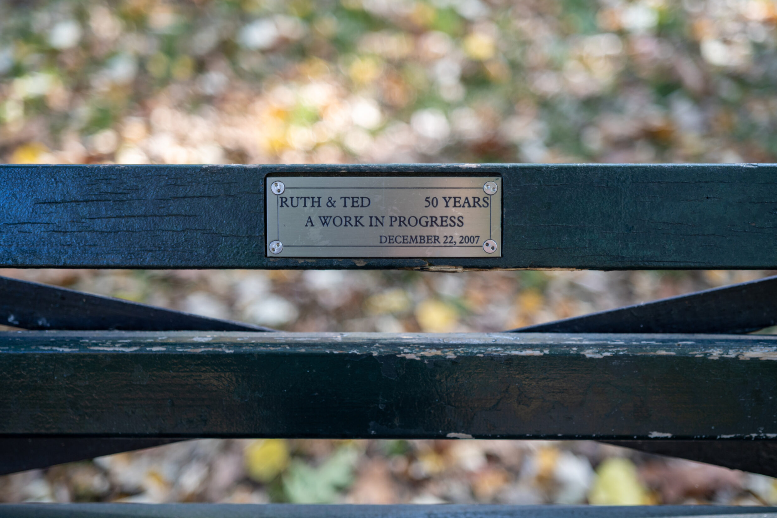 The History, Design, and Care of Central… | Central Park Conservancy