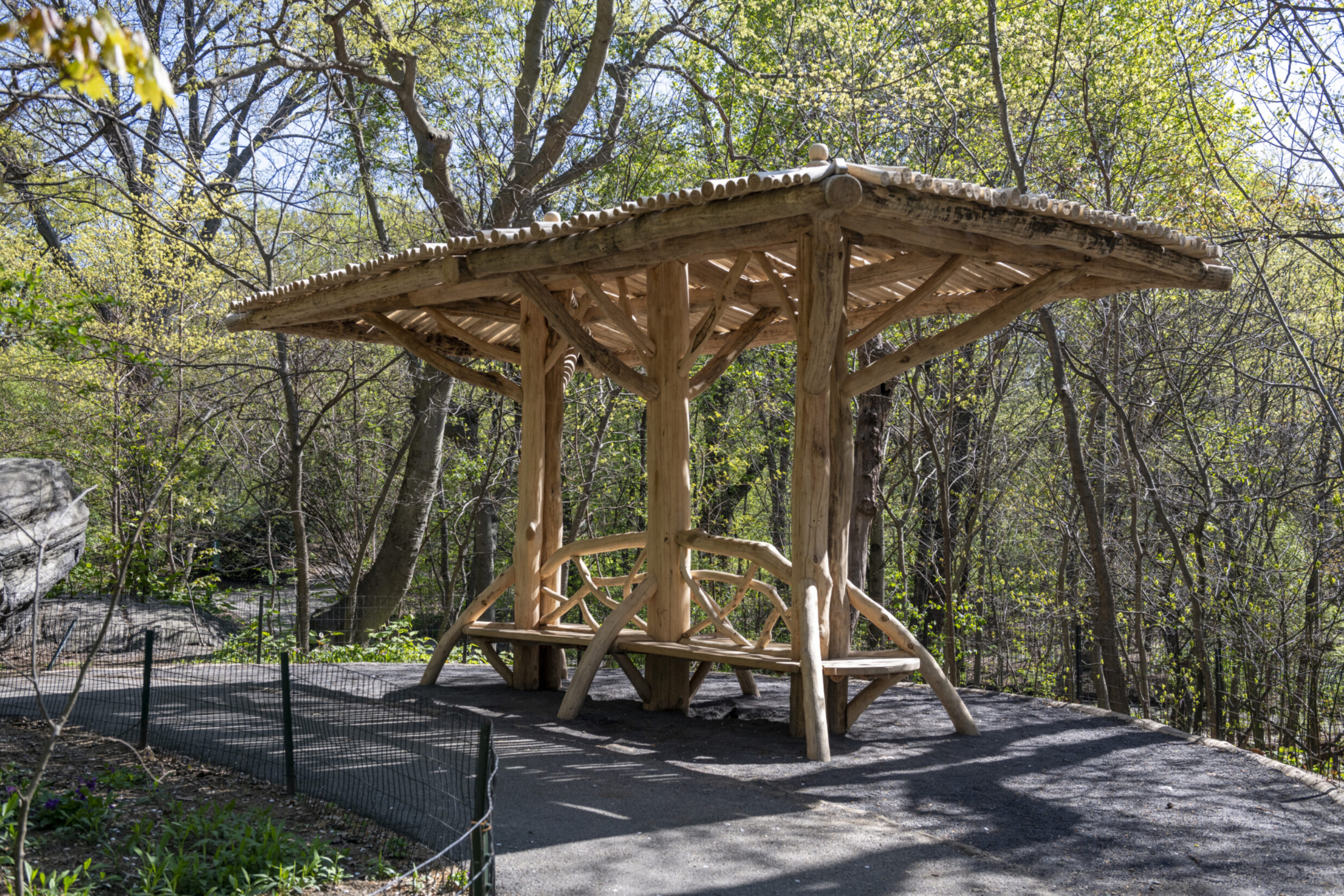 Reconstruction of the Ramble's Rustic… | Central Park Conservancy