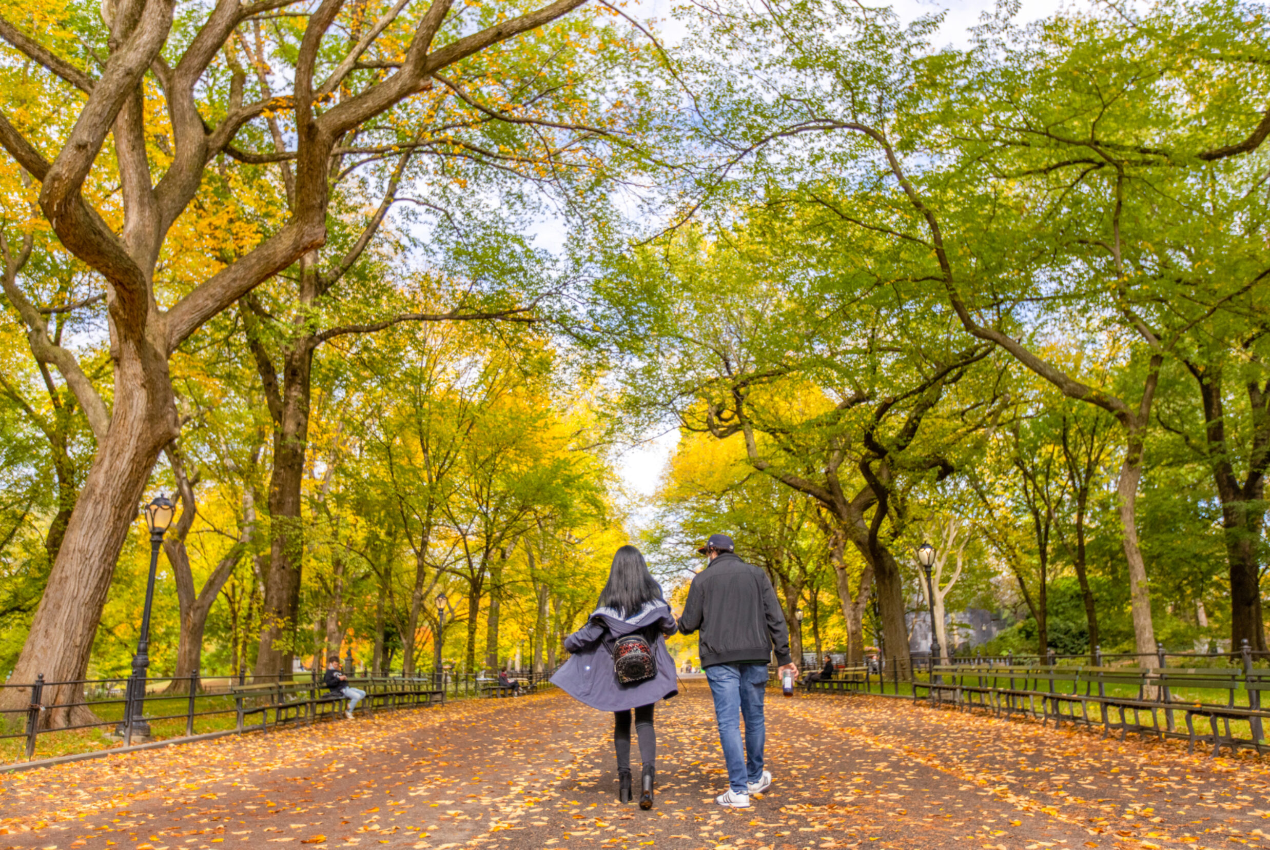 Stroll Down the Mall & Literary Walk in… | Central Park Conservancy