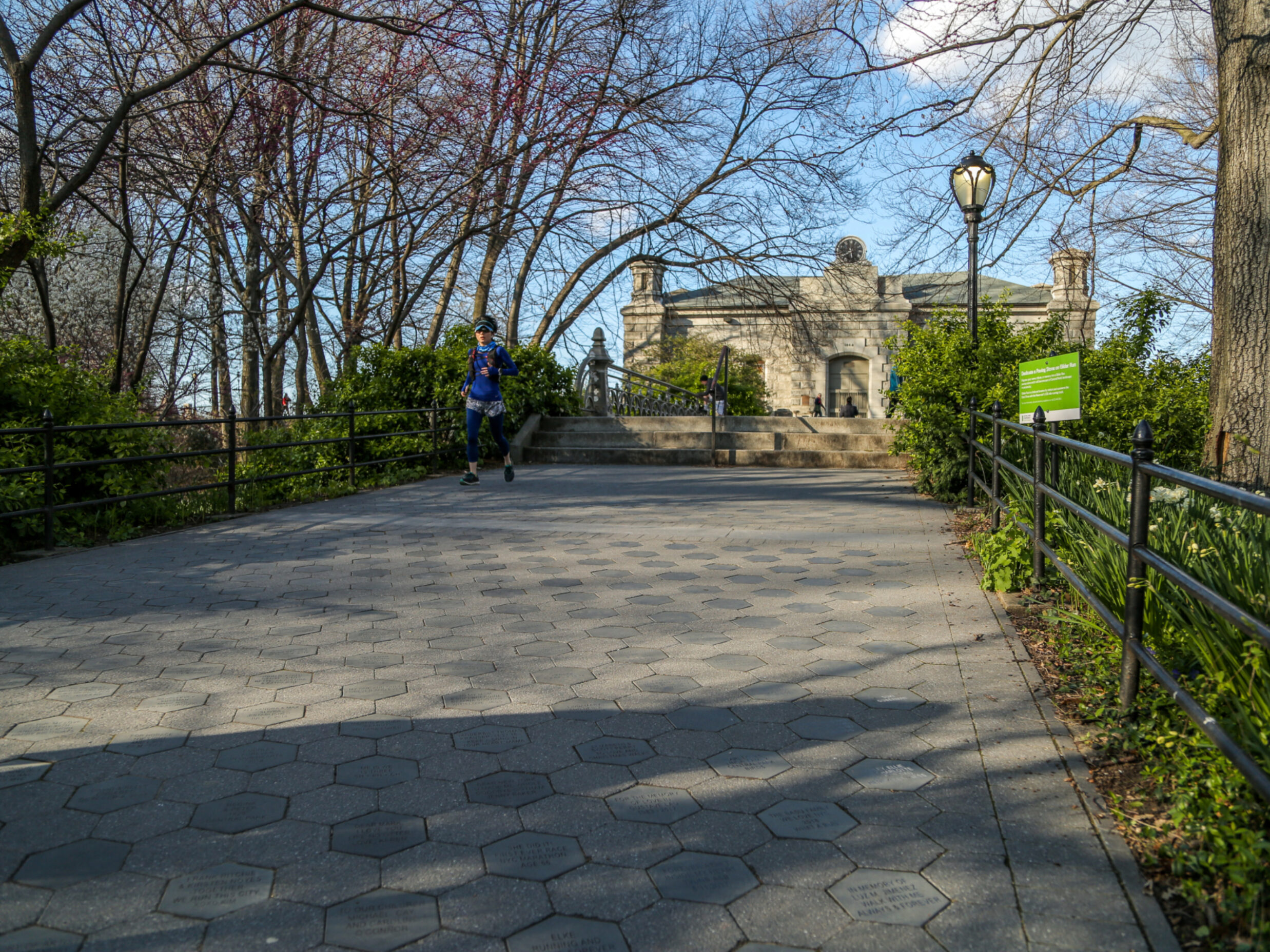 Women's Committee | Central Park Conservancy