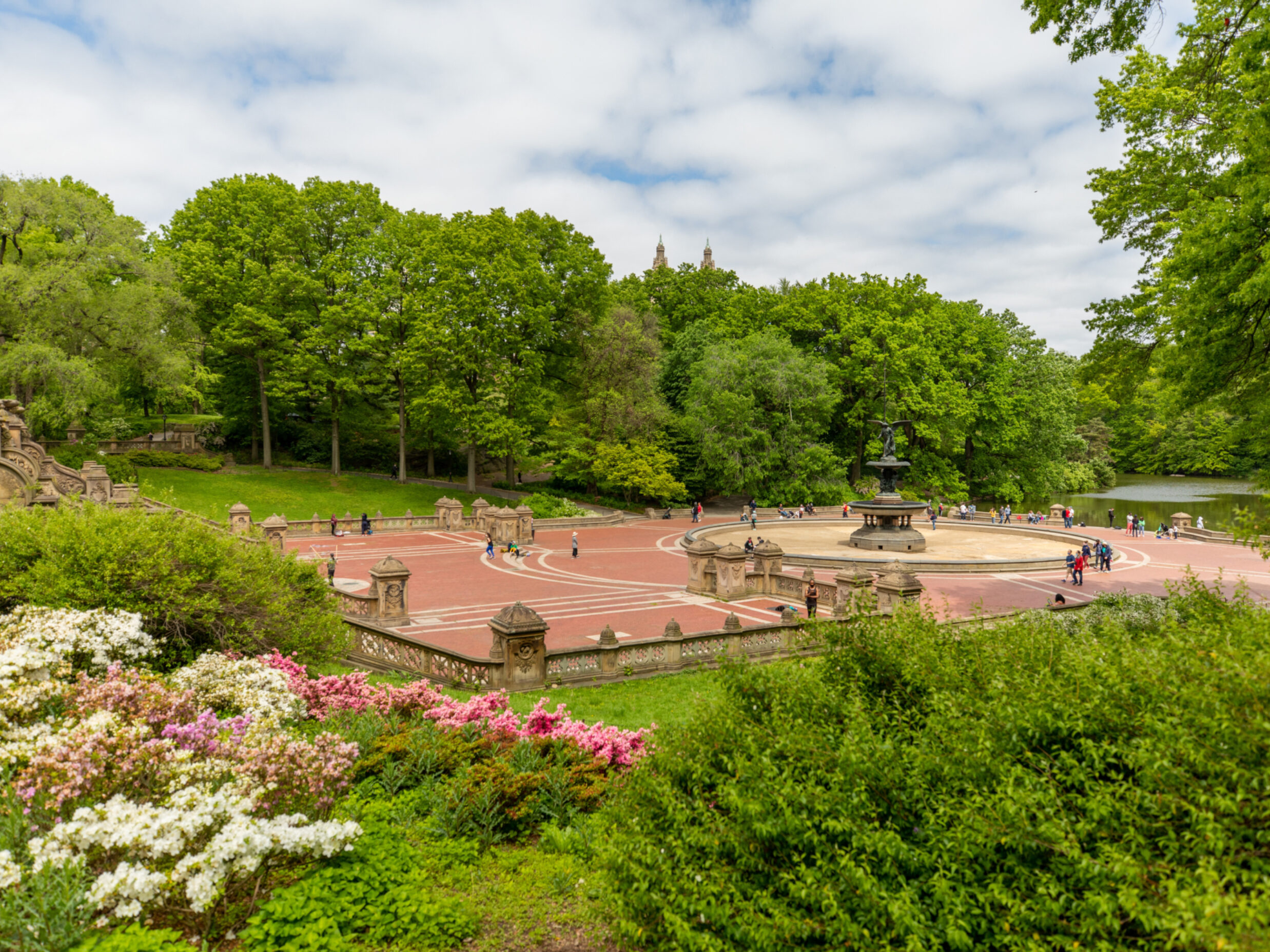 Preserve New York City's Backyard | Central Park Conservancy