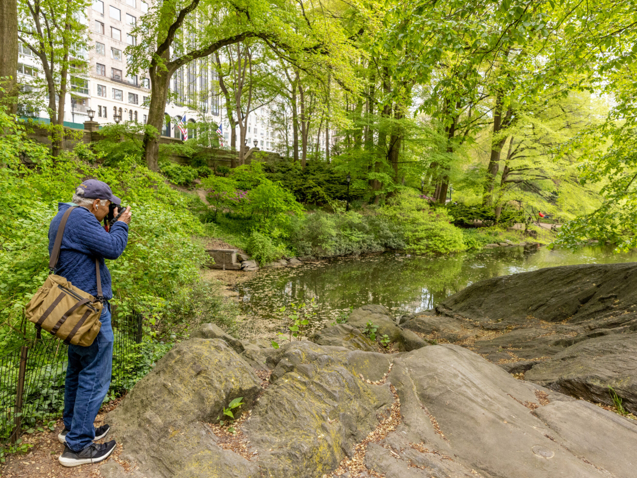 A Guide to Getting Involved in Central… | Central Park Conservancy