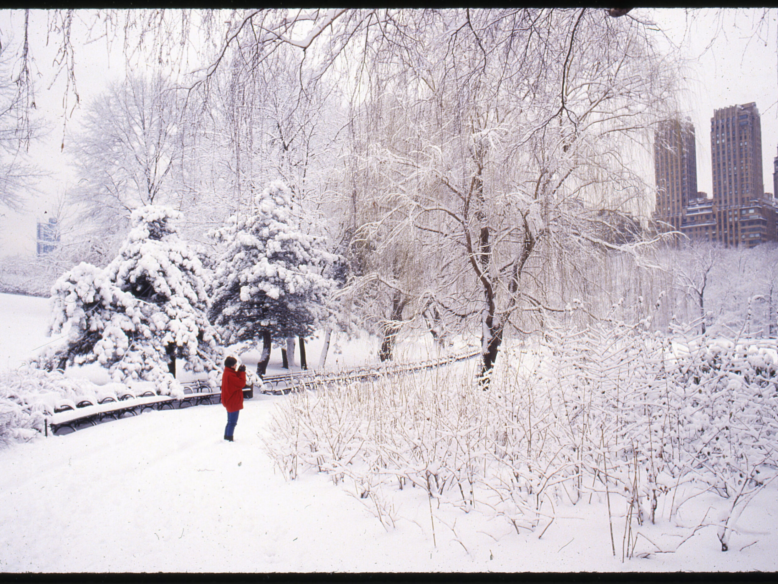 Wollman Rink | Central Park Conservancy