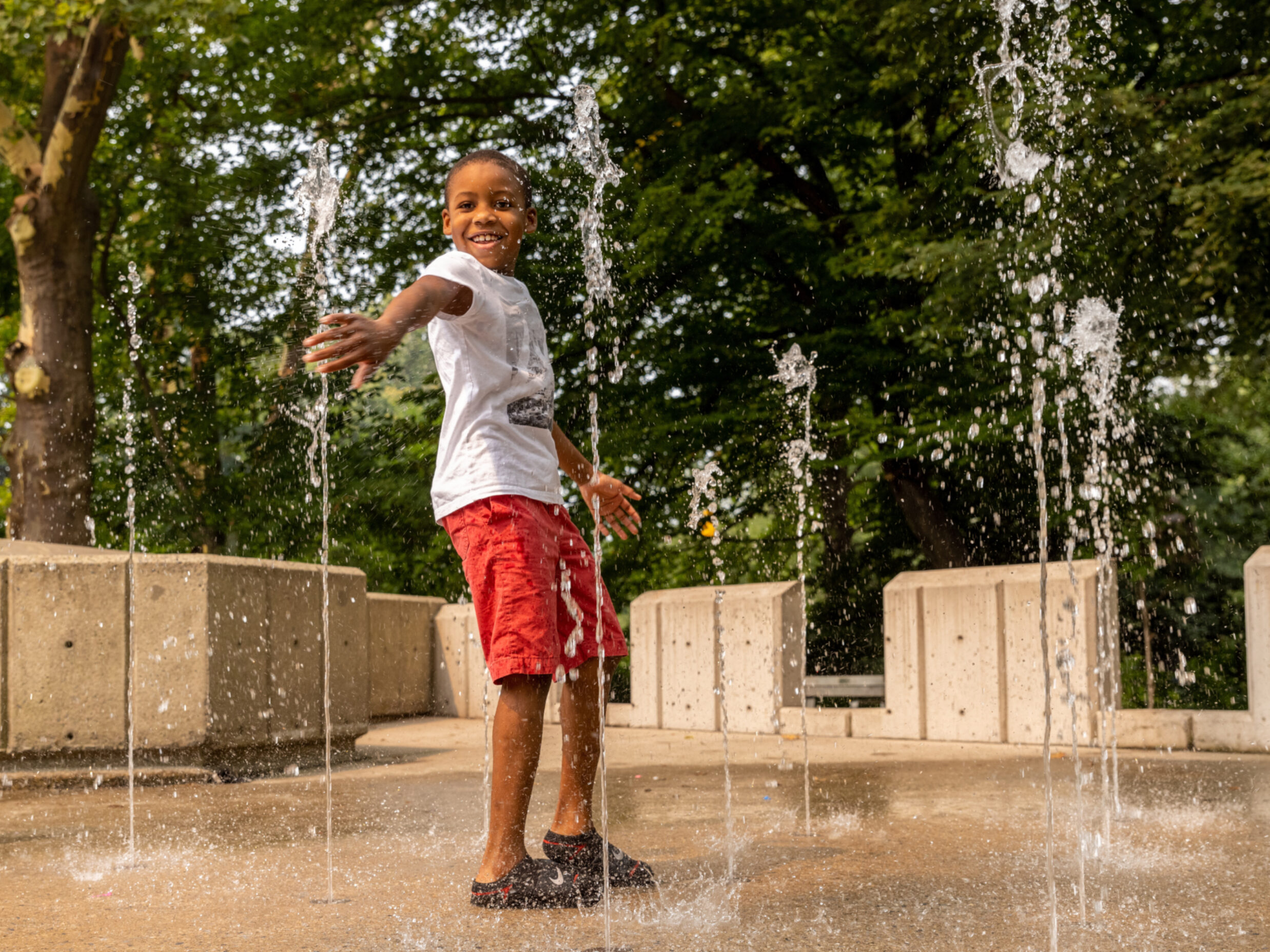 Weekly Walks | Central Park Conservancy
