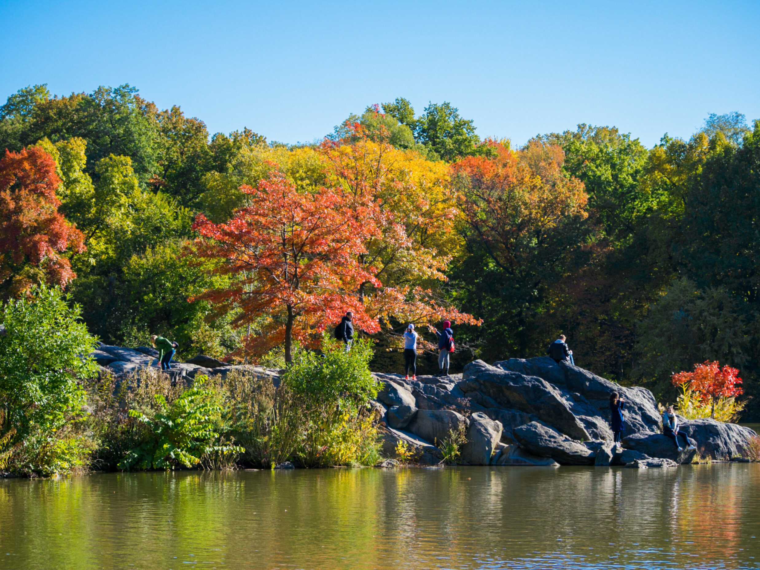 The Ramble | Central Park Conservancy