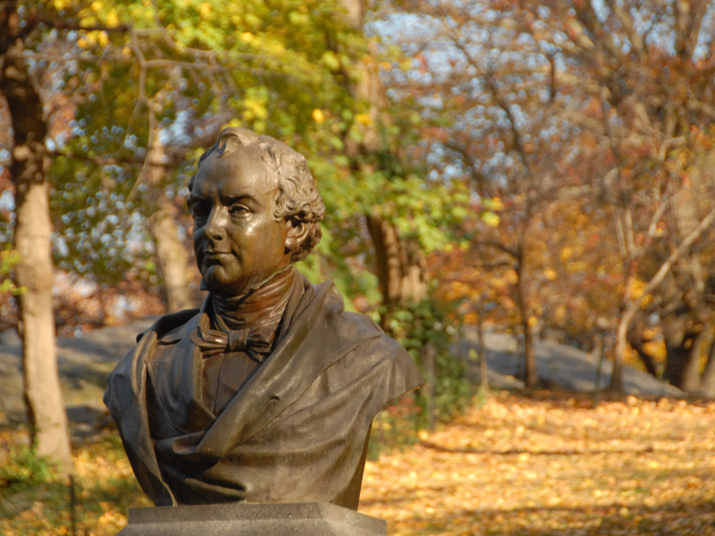 Weekly Walks | Central Park Conservancy