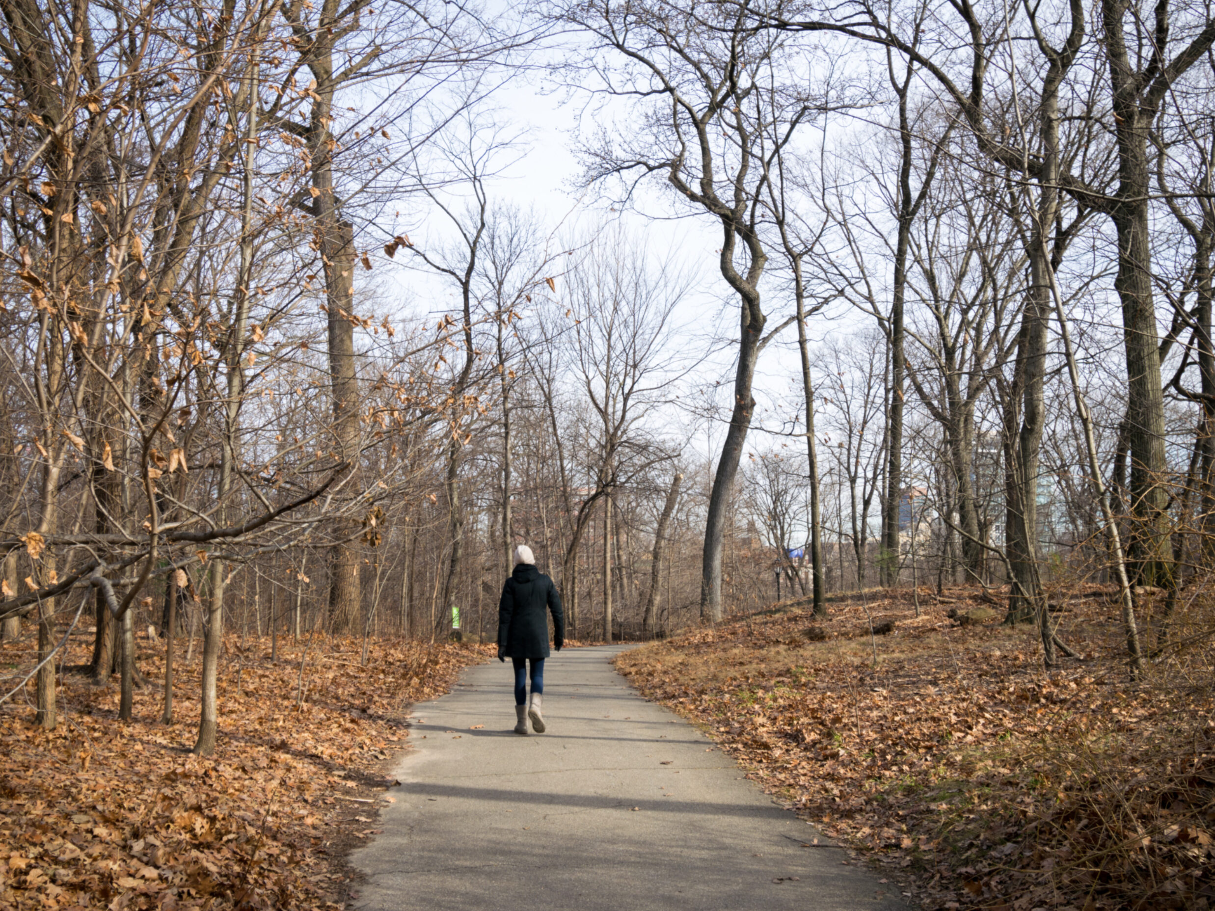 Weekly Walks | Central Park Conservancy
