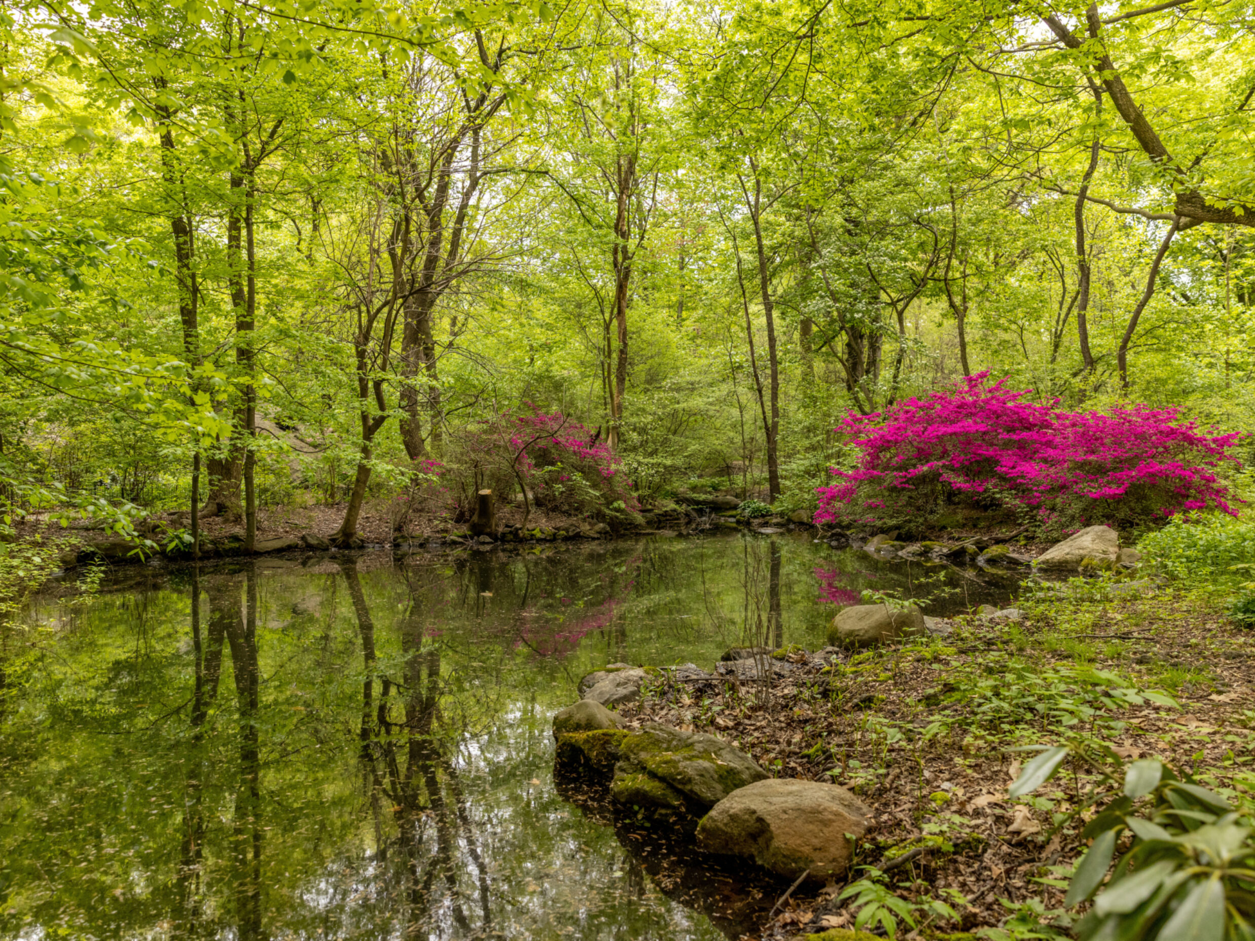 Ramble Stone Arch | Central Park Conservancy