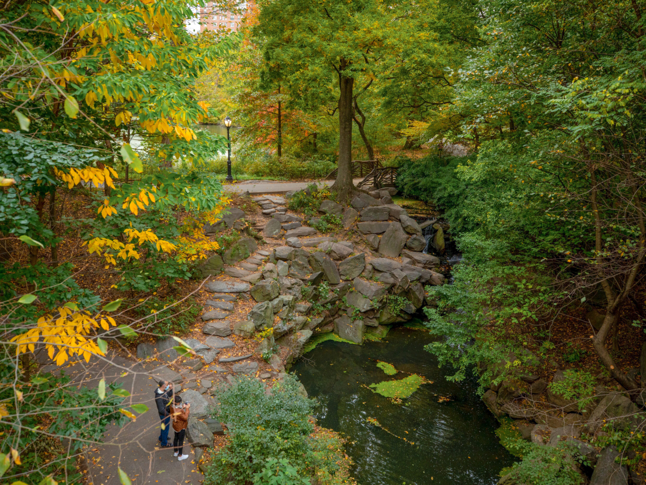 Your Central Park Moment | Central Park Conservancy