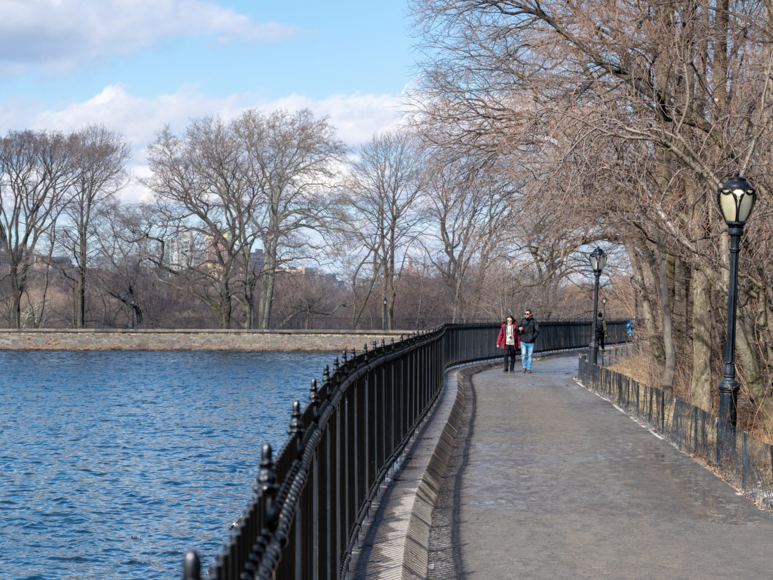 Weekly Walks | Central Park Conservancy