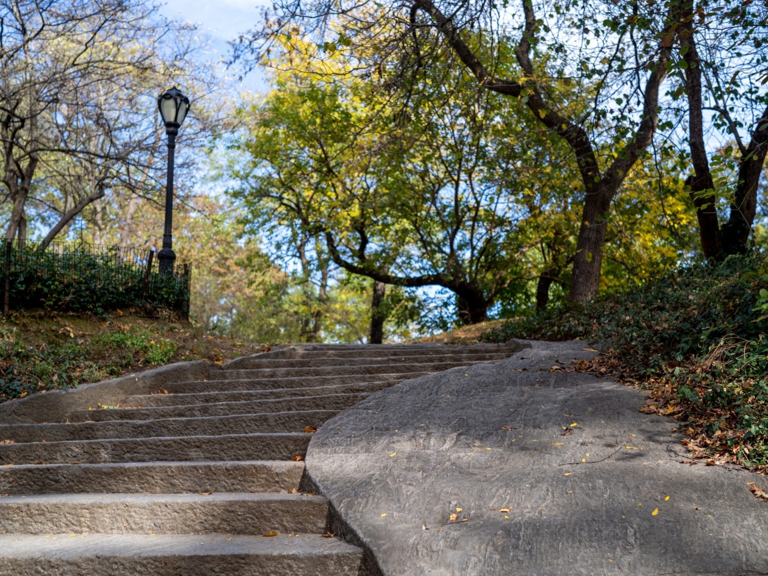 Summit Rock | Central Park Conservancy