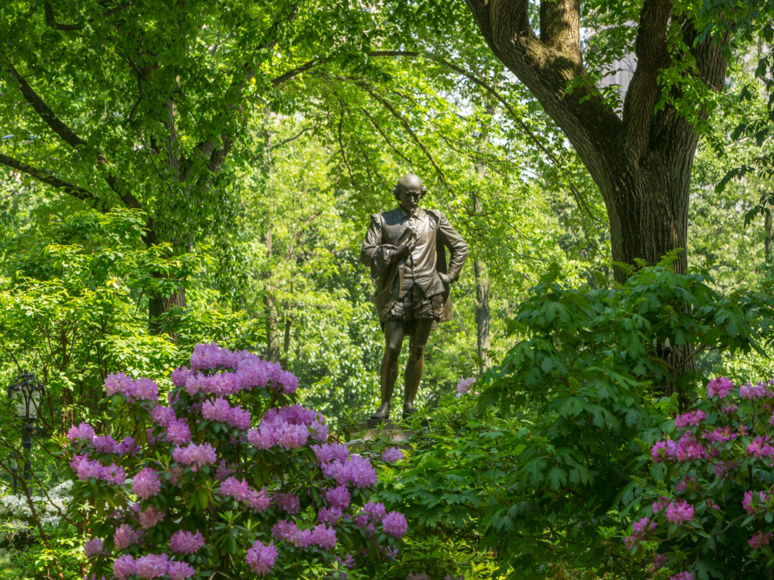 Weekly Walks | Central Park Conservancy