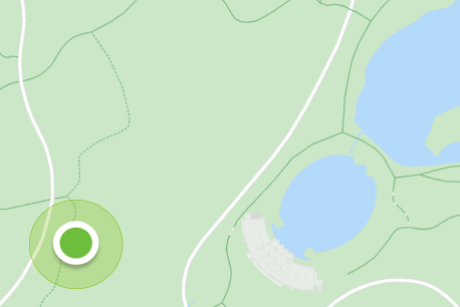 Gapstow Bridge | Central Park Conservancy