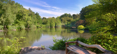 Official Tour: Central Park Sustainability… | Central Park Conservancy