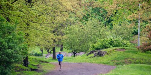 How Central Park Was Designed as a Park… | Central Park Conservancy