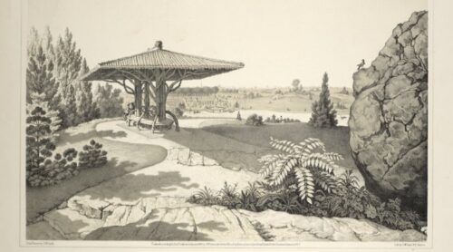 Reconstruction of the Ramble's Rustic… | Central Park Conservancy
