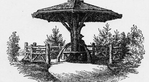 Reconstruction of the Ramble's Rustic… | Central Park Conservancy