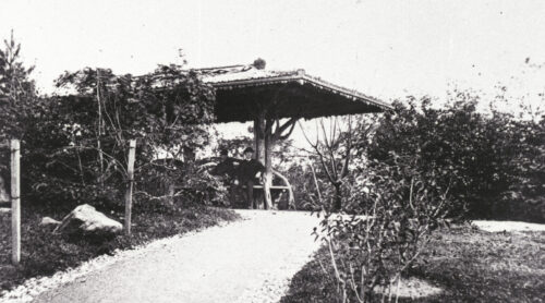 Reconstruction of the Ramble's Rustic… | Central Park Conservancy